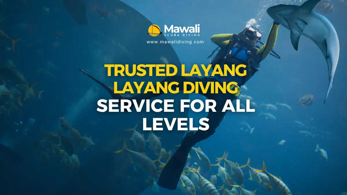 Service - Mawali Scuba Diving Layang Layang Diving Service – Sabah’s ...