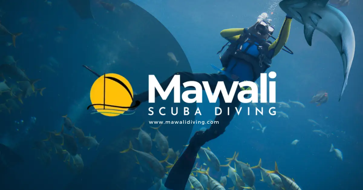 Sabah-Based Layang Layang Diving Package - Mawali Scuba Diving